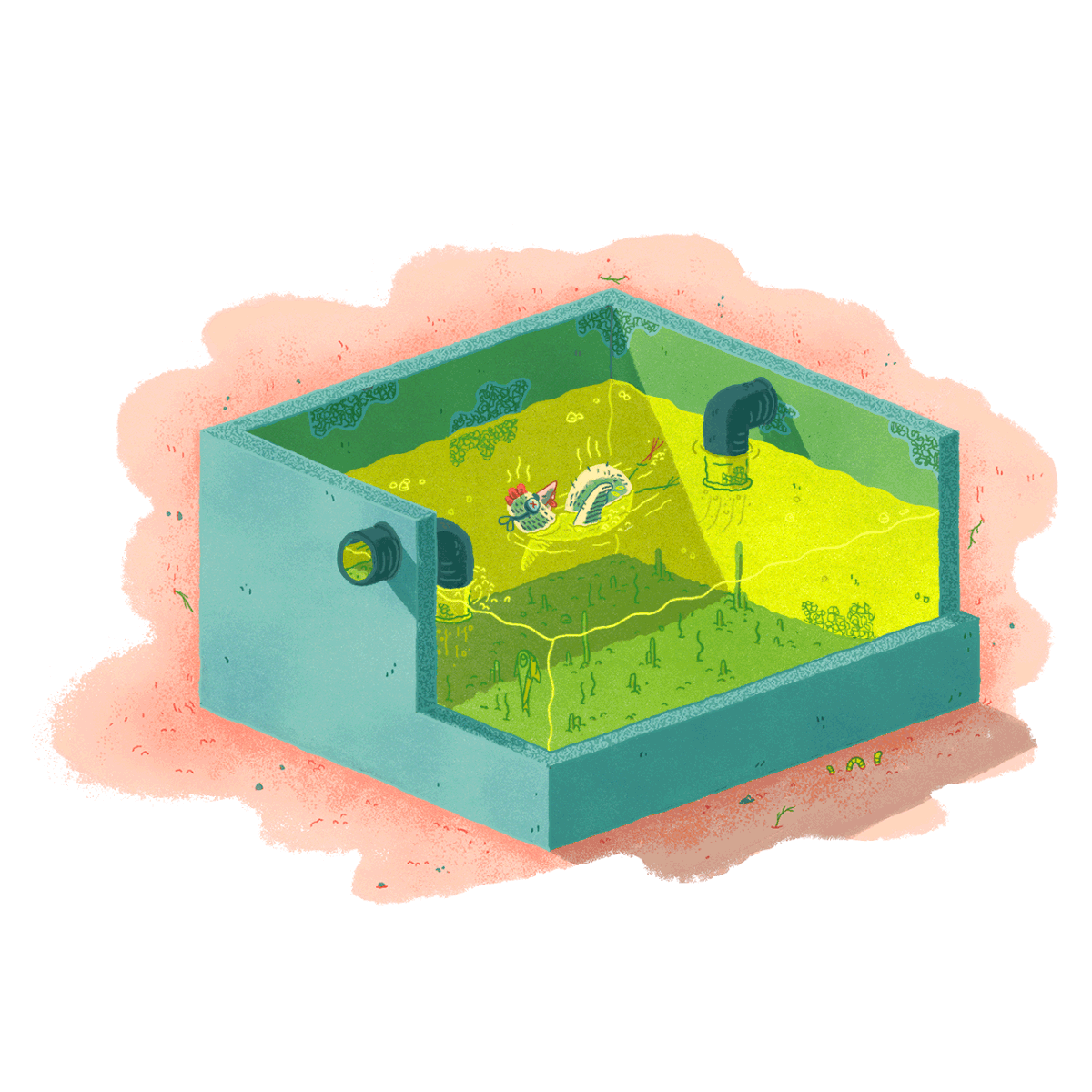 Jeff Lowry - Septic Chicken