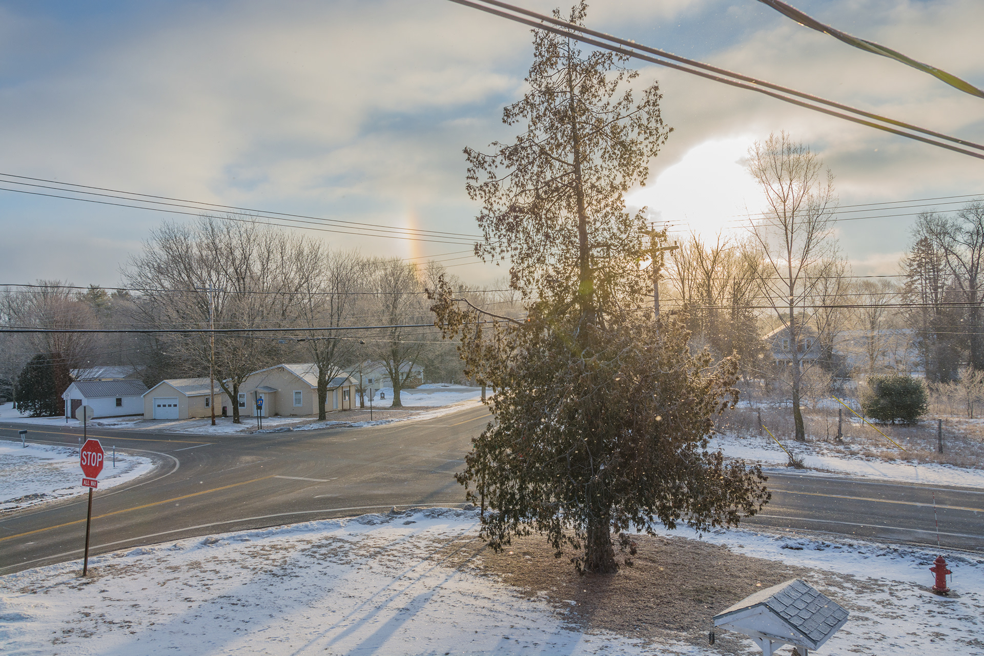 Color Spectrum Photos - Wildlife Photos Of 2016