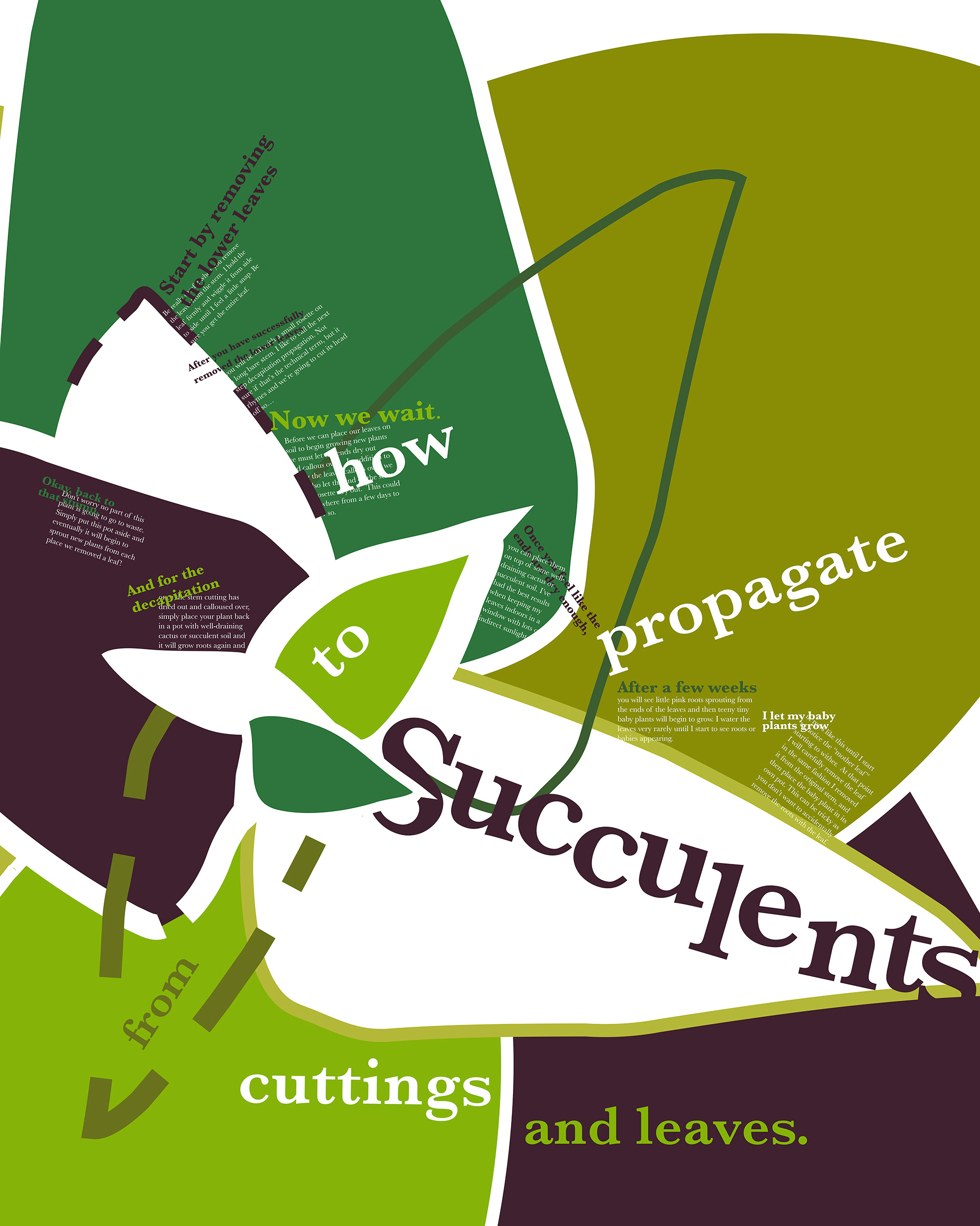 sadie arsenault - process poster