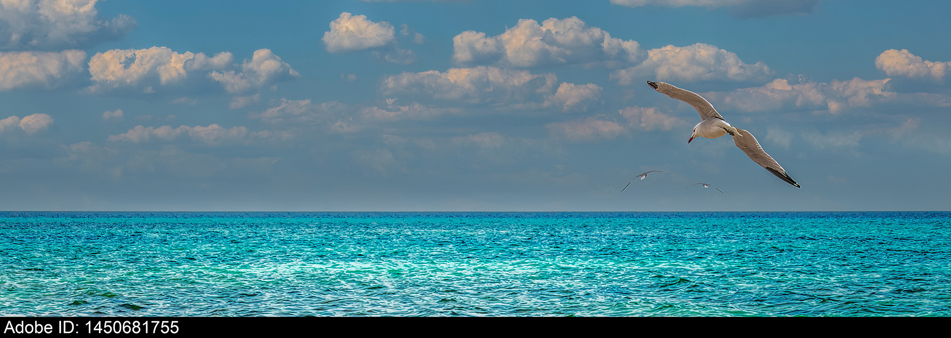 Ralph Lear | Commercial Outdoor & Lifestyle Hobby Photographer ...