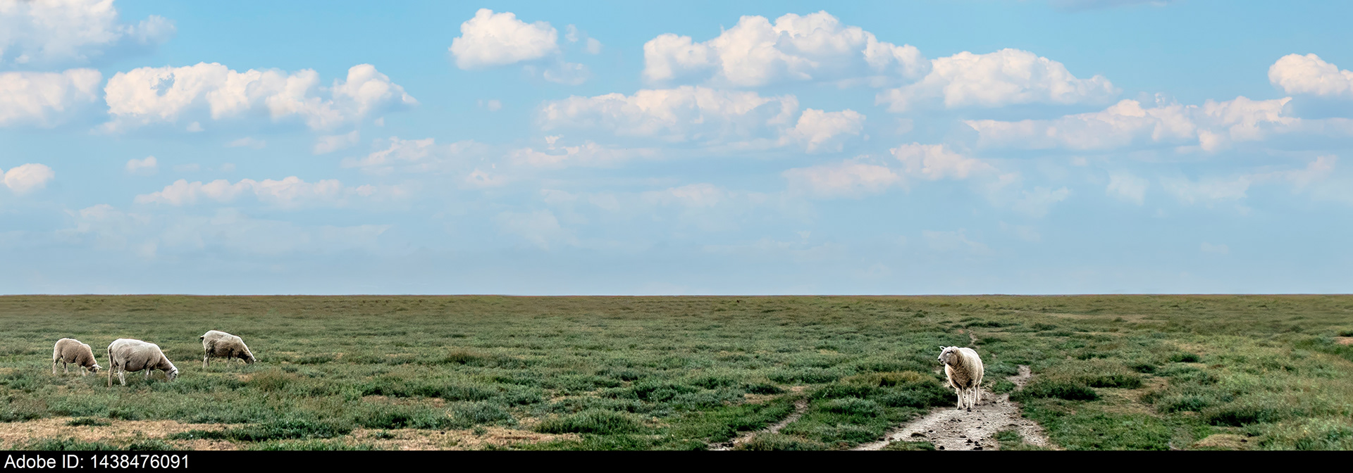 Ralph Lear Masterclass Outdoor Photography - Landscape Photography