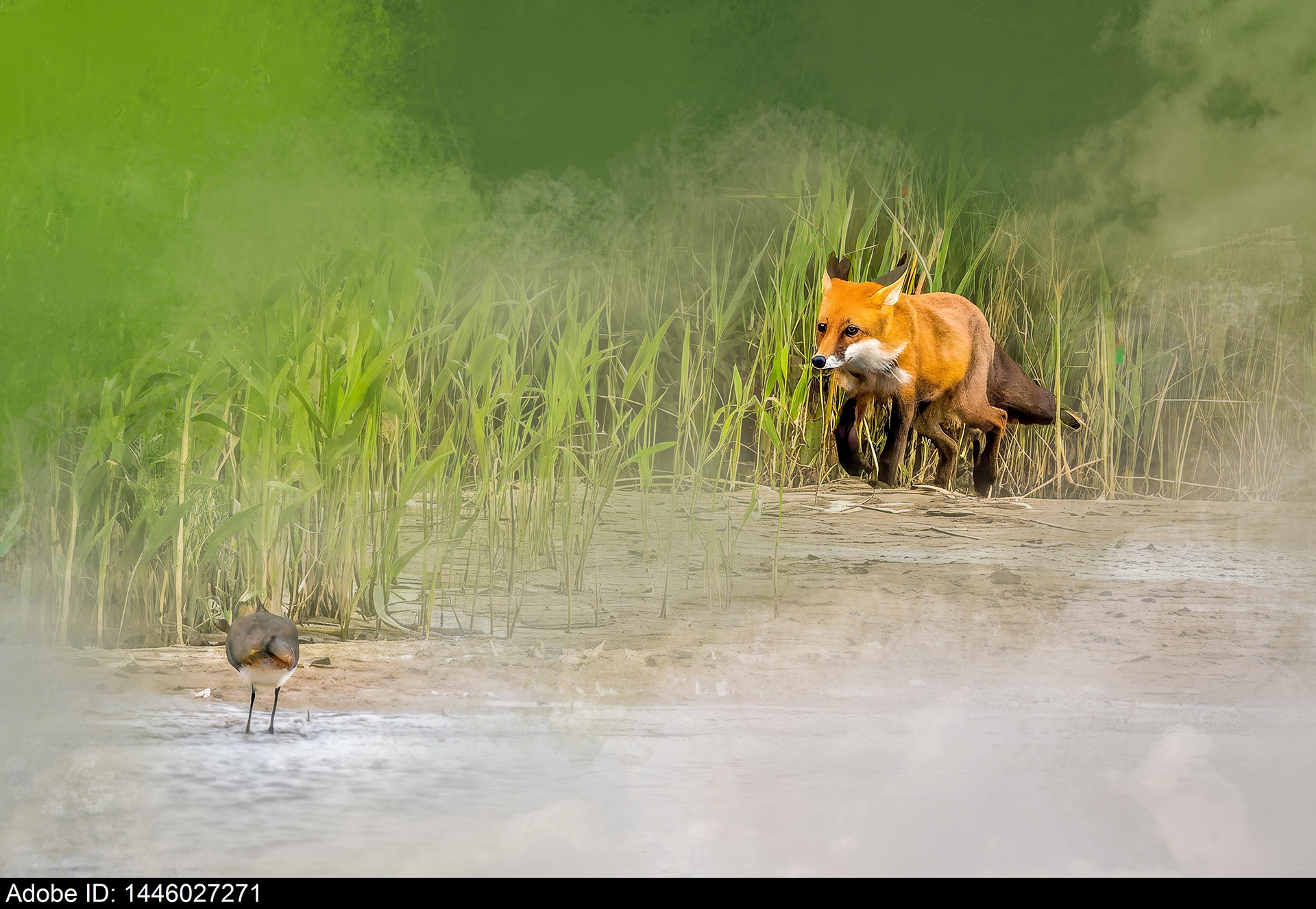 Ralph Lear | Commercial Outdoor & Lifestyle Hobby Photographer - Animal ...