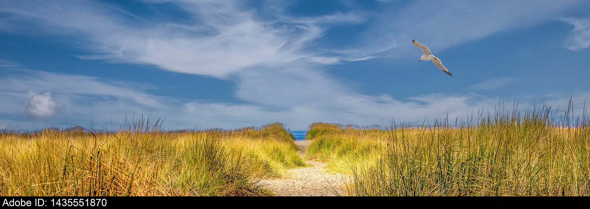 Ralph Lear Masterclass Outdoor Photography - Landscape Photography