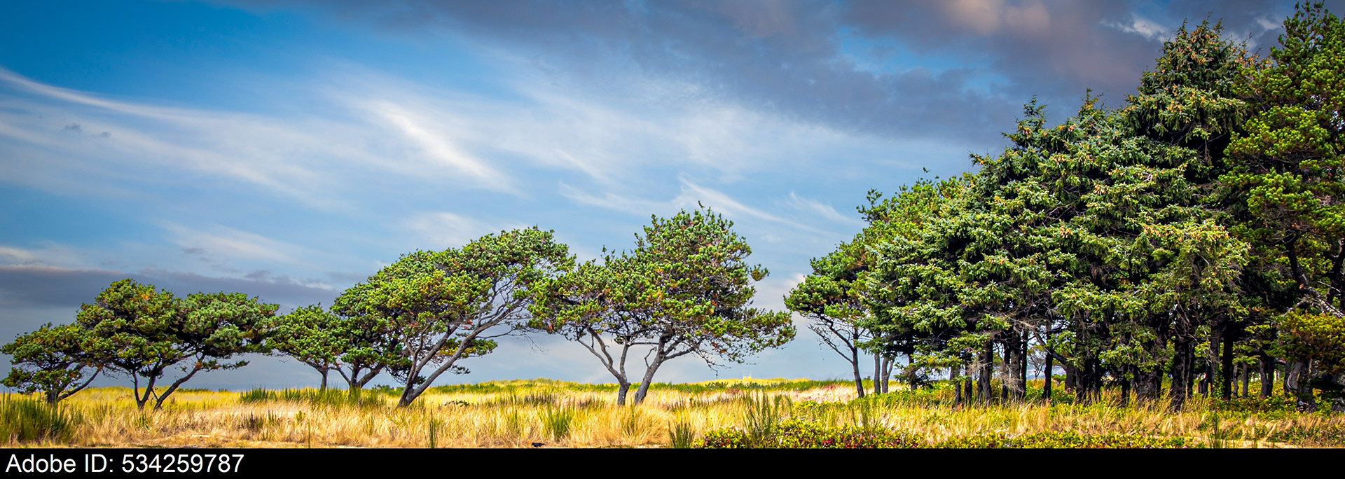 Ralph Lear Masterclass Outdoor Photography - Landscape Photography