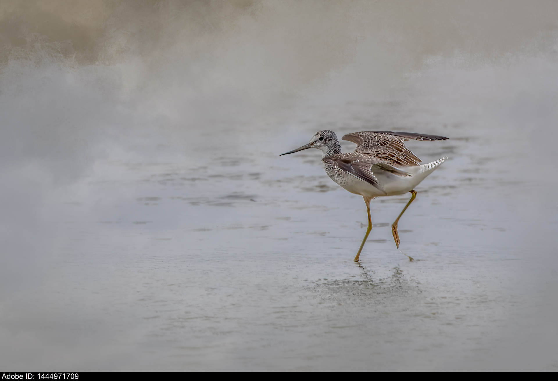 Ralph Lear | Commercial Outdoor & Lifestyle Hobby Photographer - Animal ...
