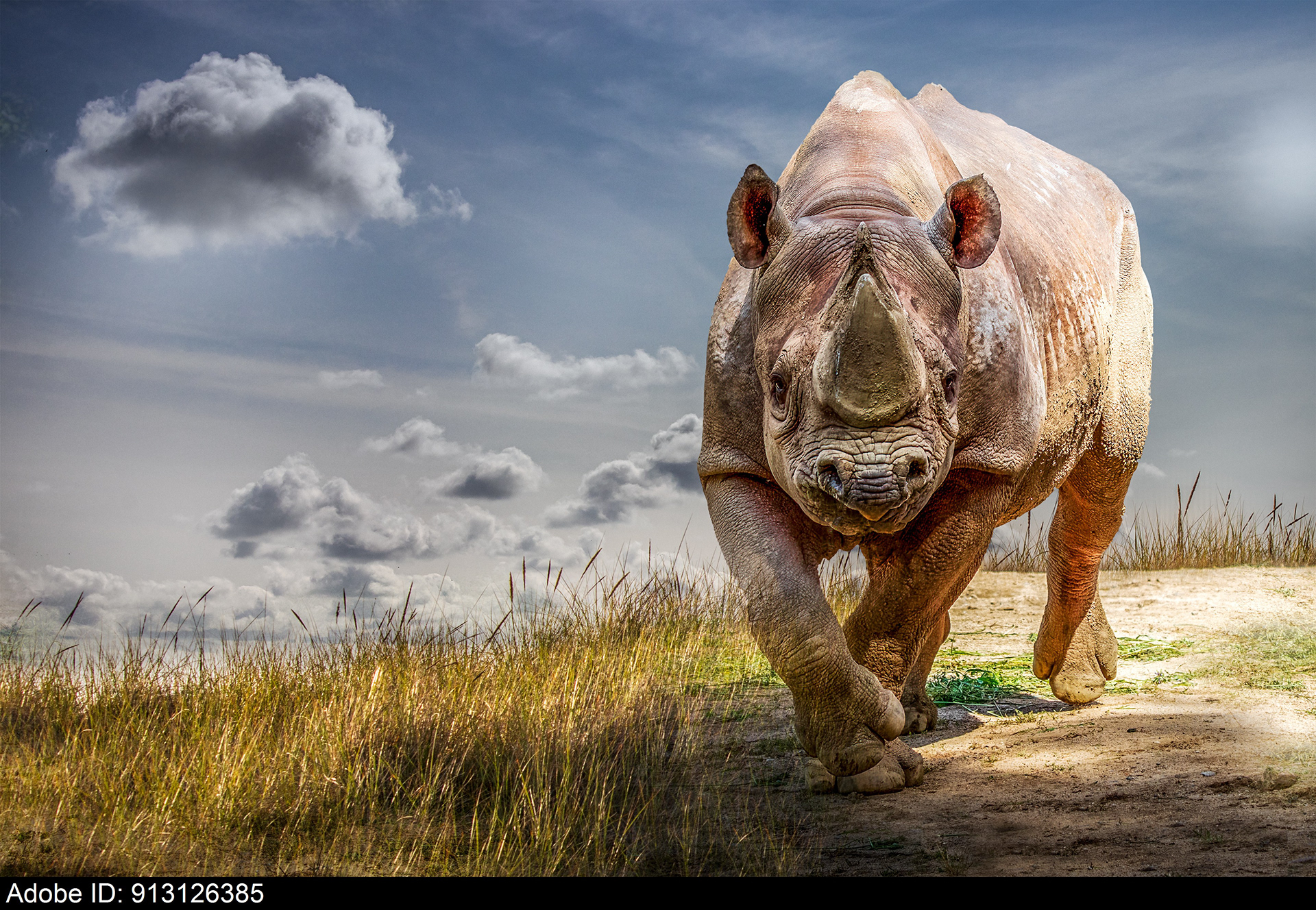 Ralph Lear | Commercial Outdoor & Lifestyle Hobby Photographer - Animal ...