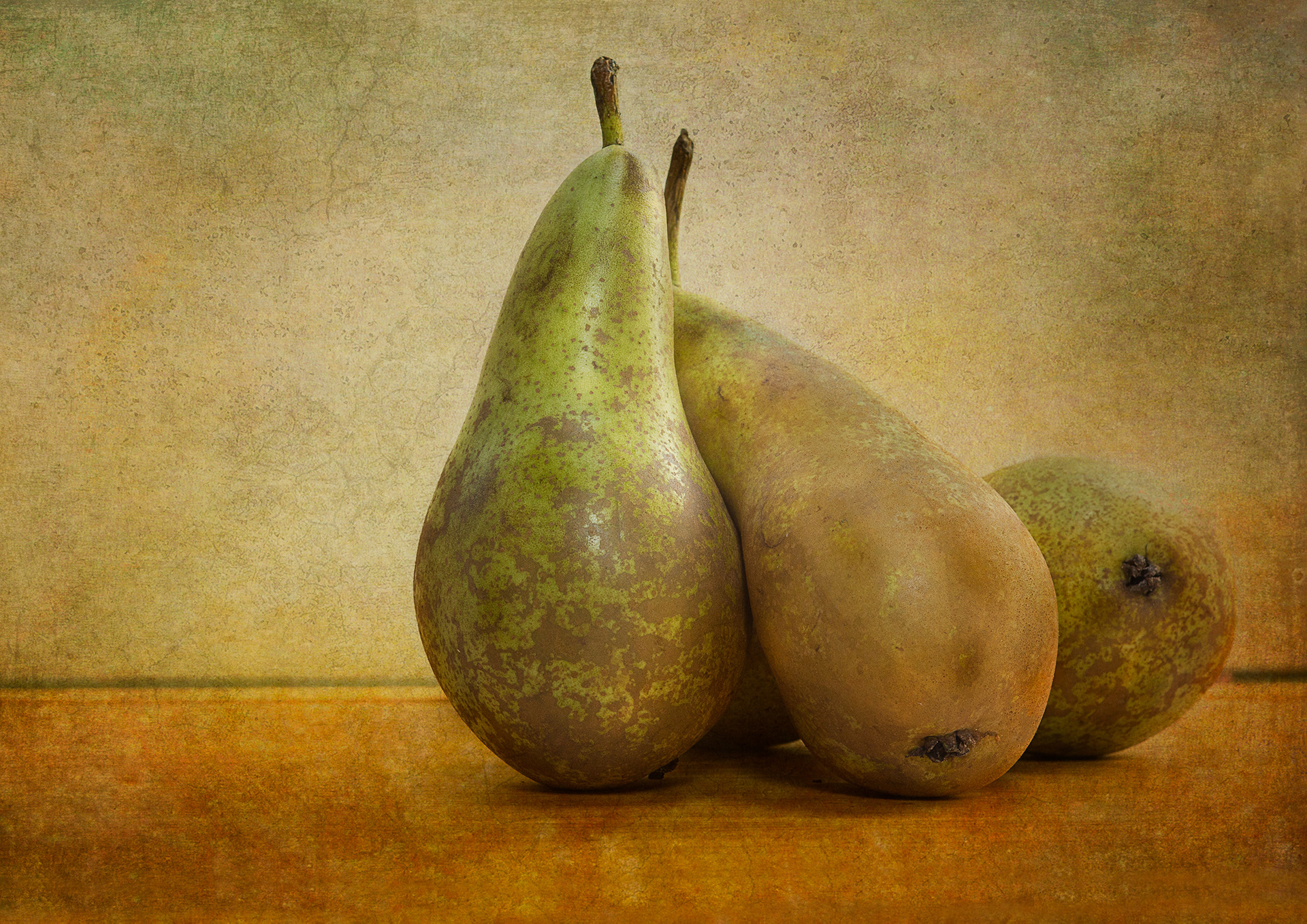 denis O Reilly - Still Life