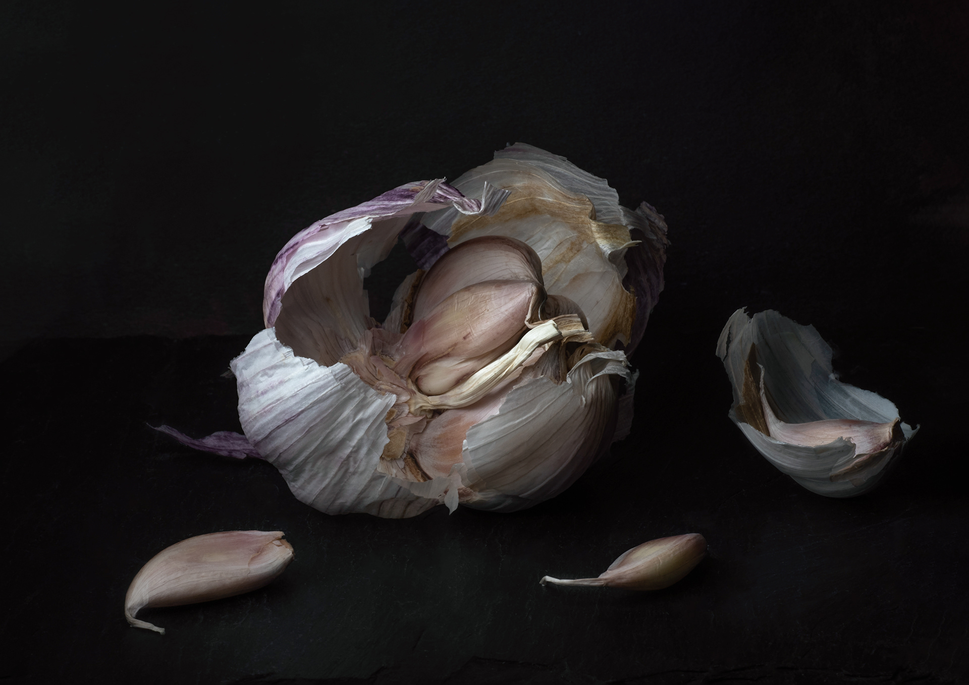 denis O Reilly - Still Life