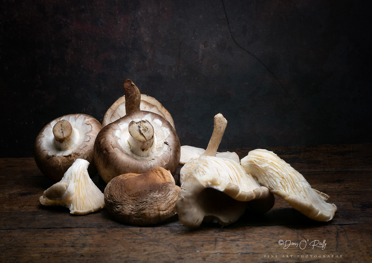 denis O Reilly - Still Life