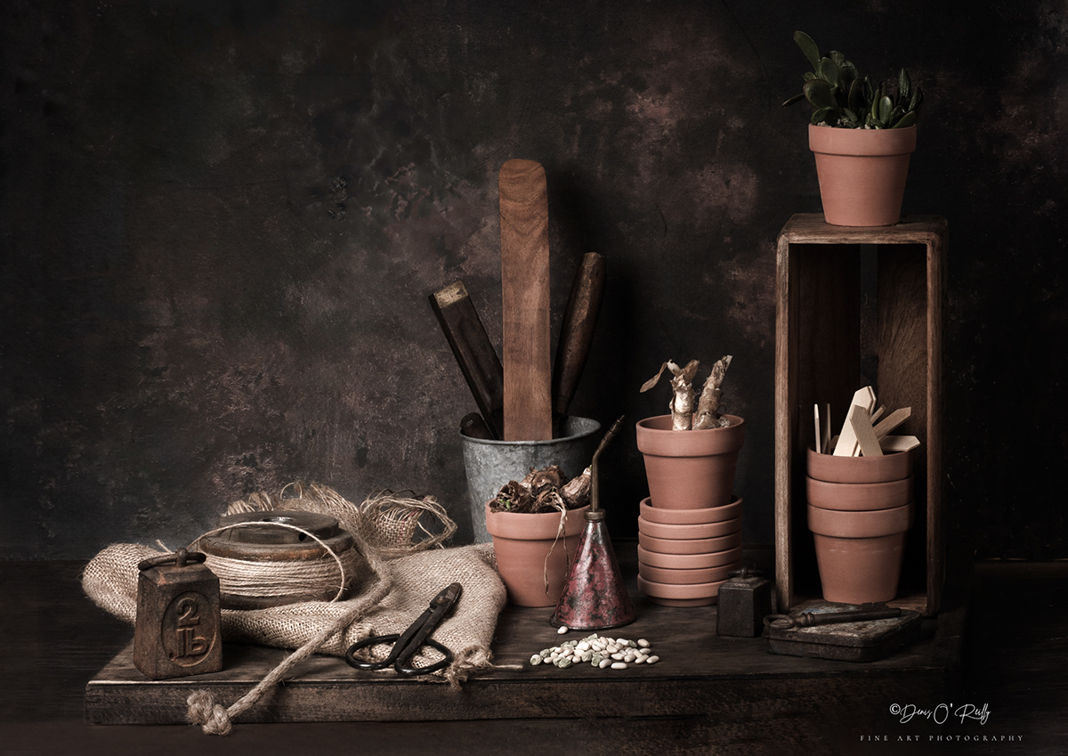 denis O Reilly - Still Life