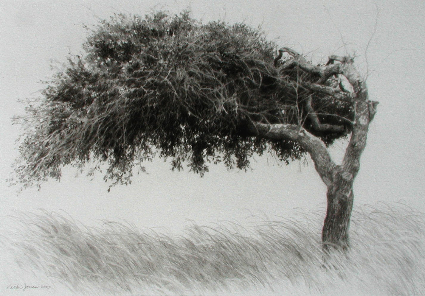 Vicki M. Jones Artist - Gallery