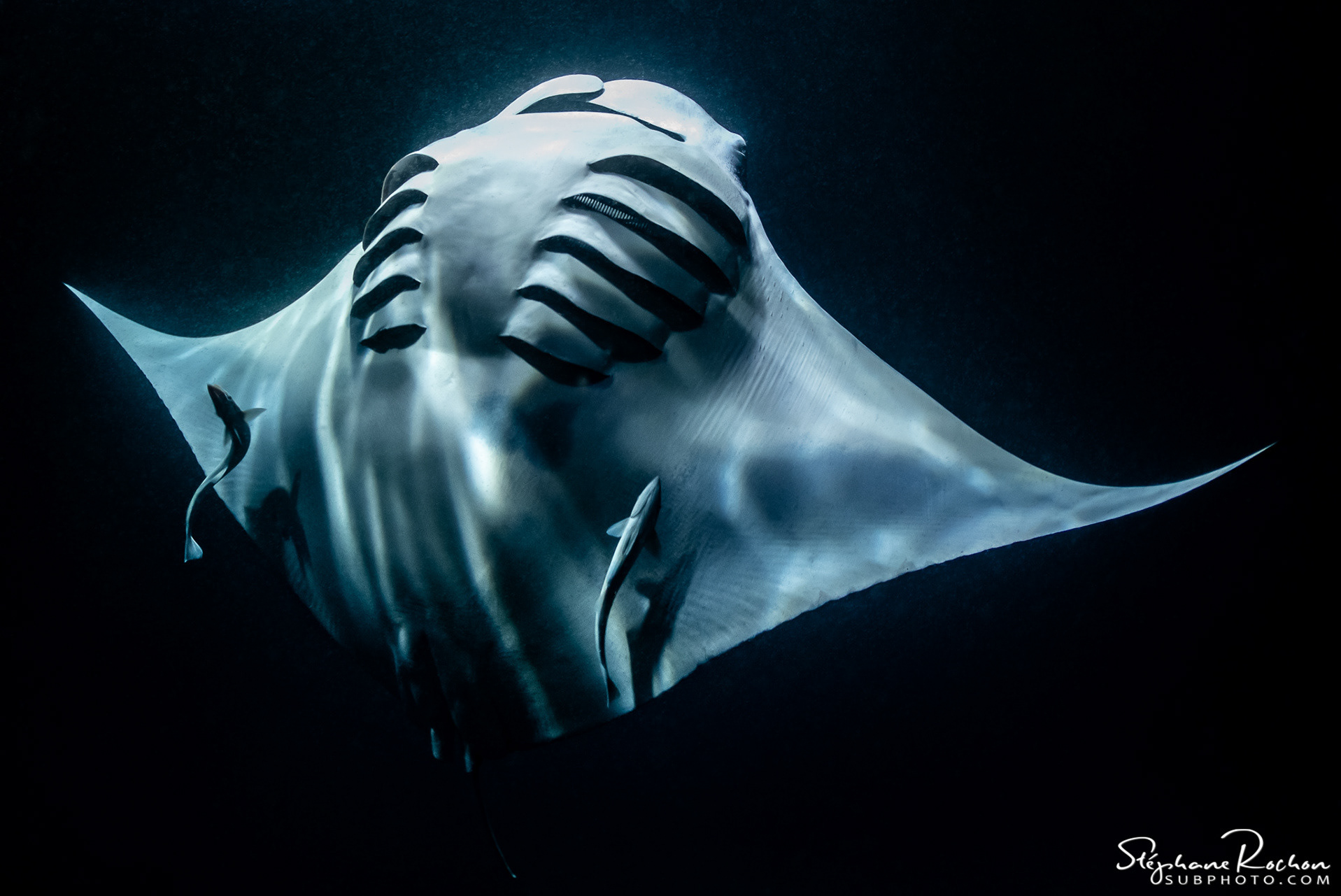 Photography by Stéphane ROCHON - Photographie par Stéphane ROCHON