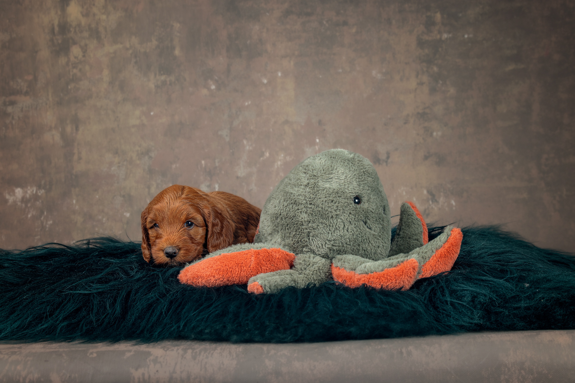 Mischa's Doodles - Charlie Brown x Blitz