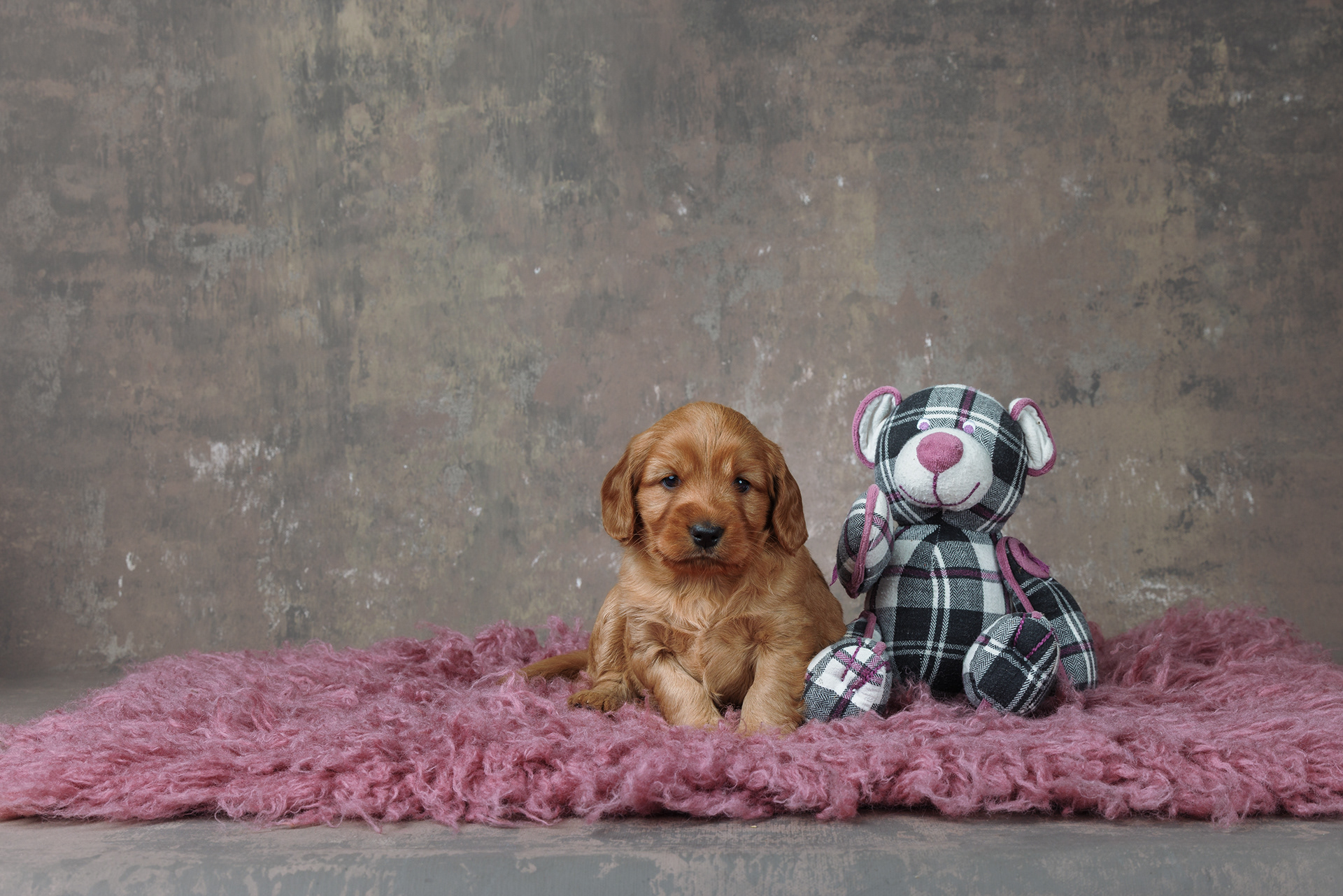 Mischa's Doodles - Charlie Brown x Blitz