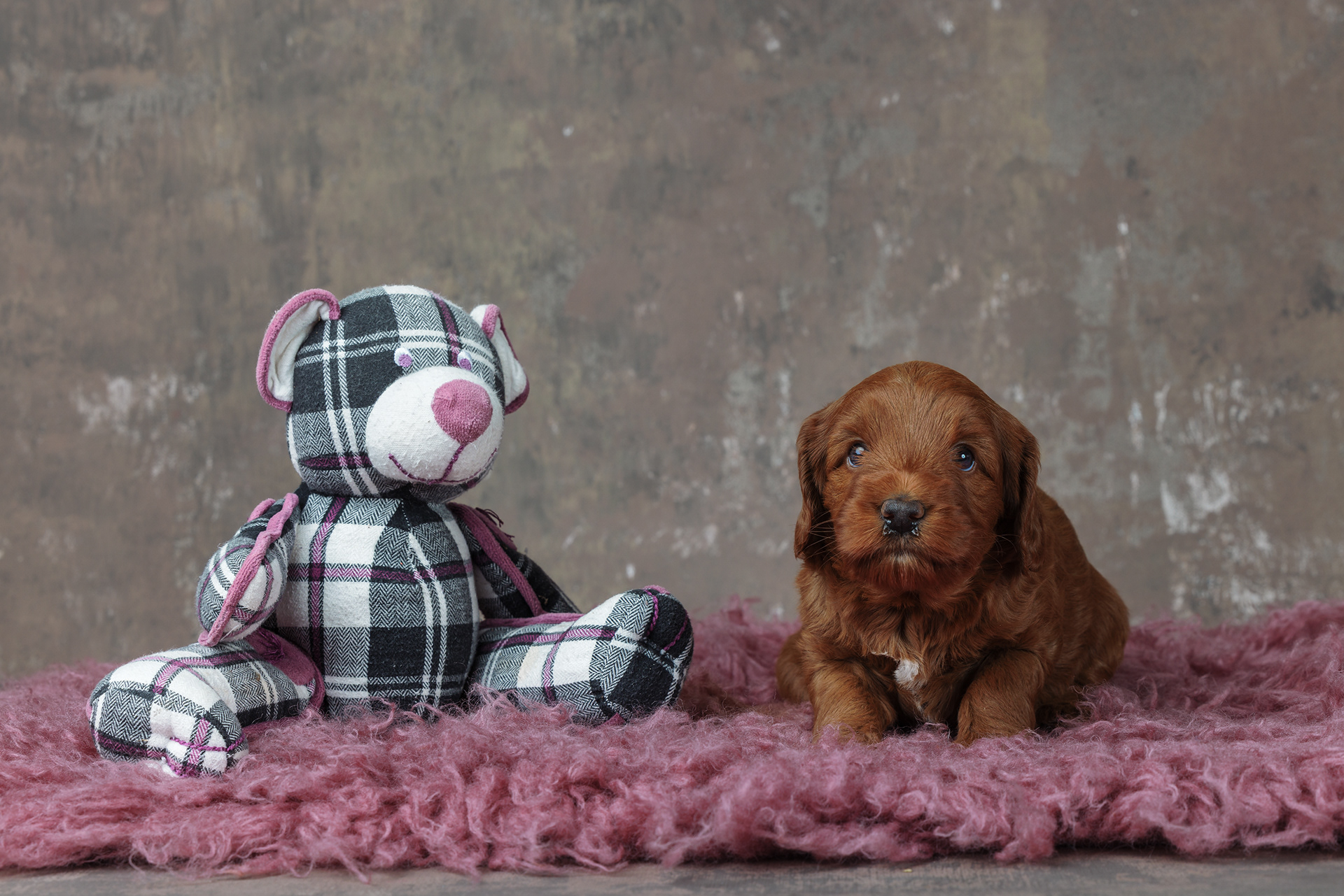 Mischa's Doodles - Charlie Brown x Blitz