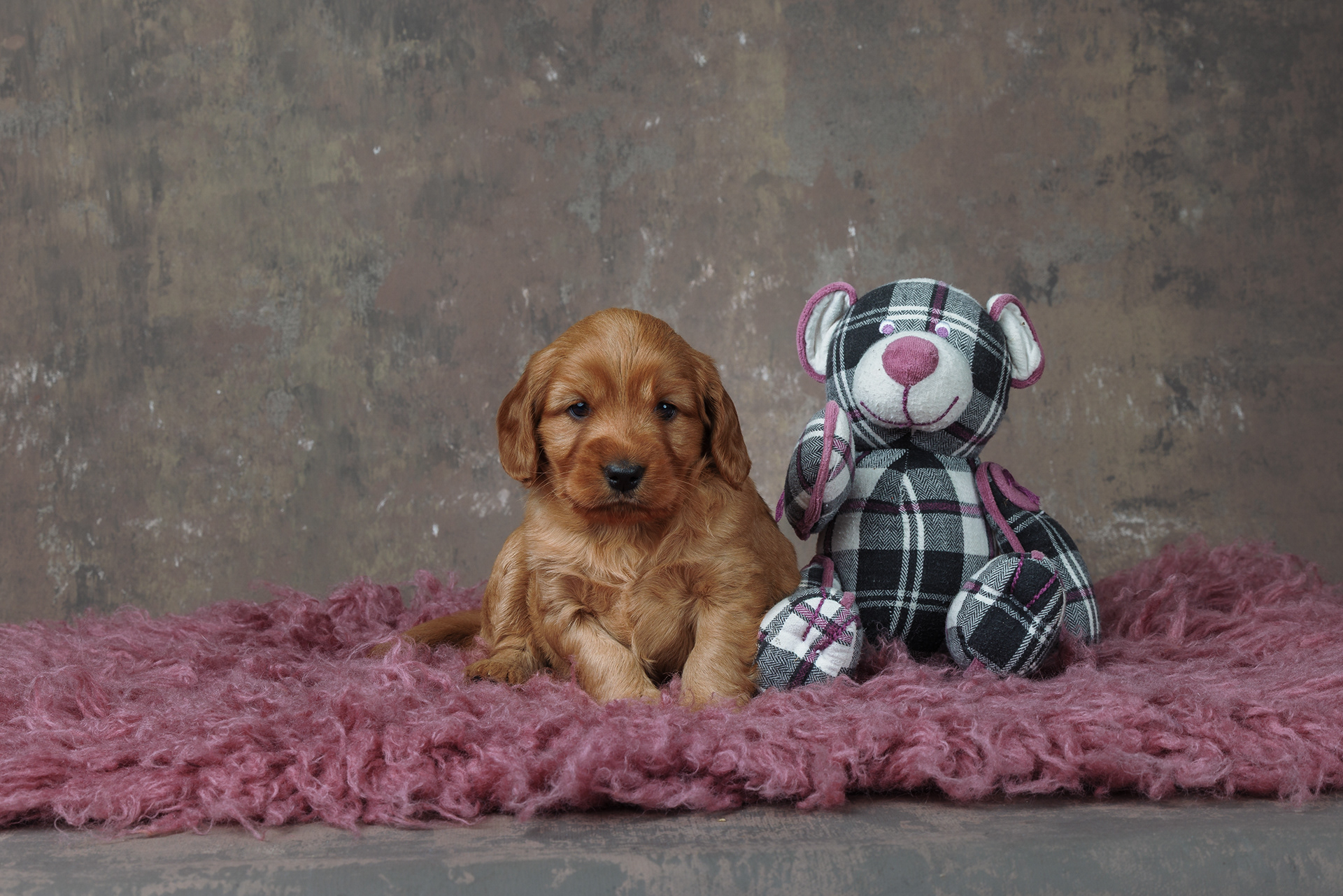 Mischa's Doodles - Charlie Brown x Blitz