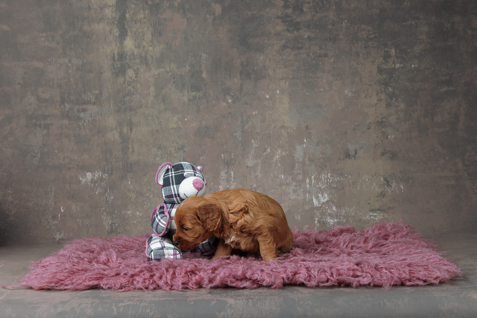 Mischa's Doodles - Charlie Brown x Blitz