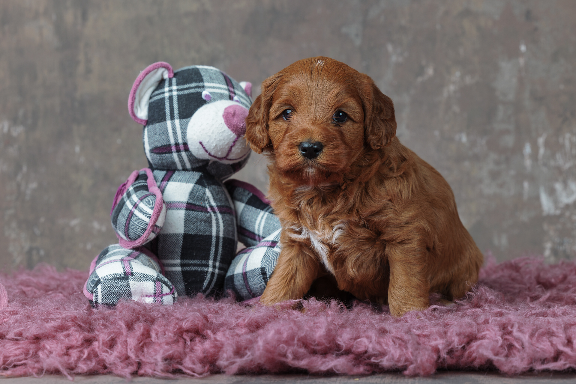 Mischa's Doodles - Charlie Brown x Blitz