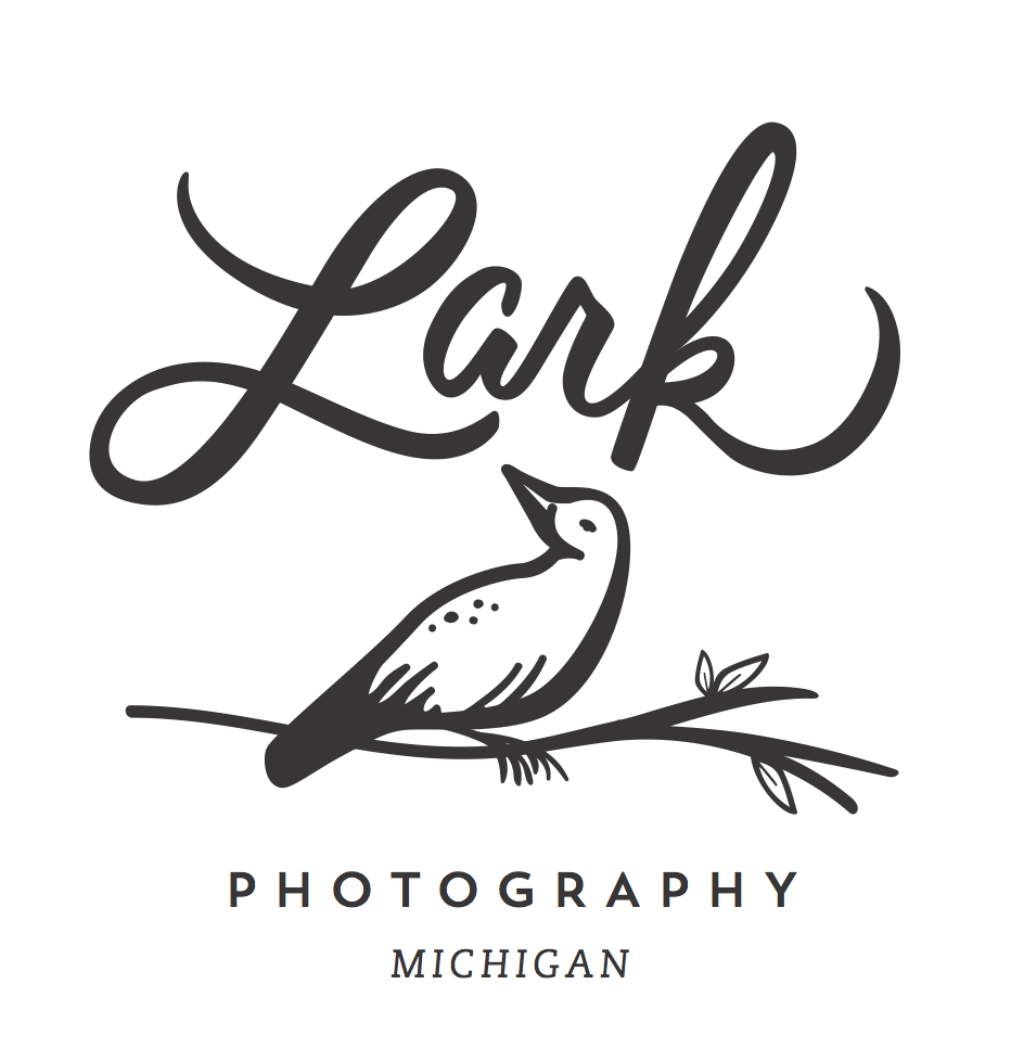 Amber Rogers - Lark photography // Branding