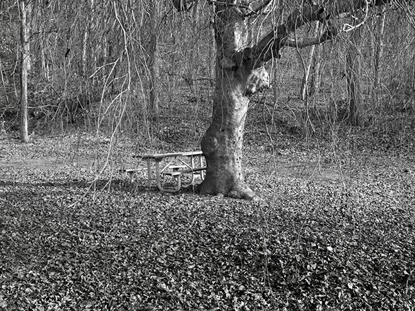 Justin Schmitz - SEASON IN THE ABYSS