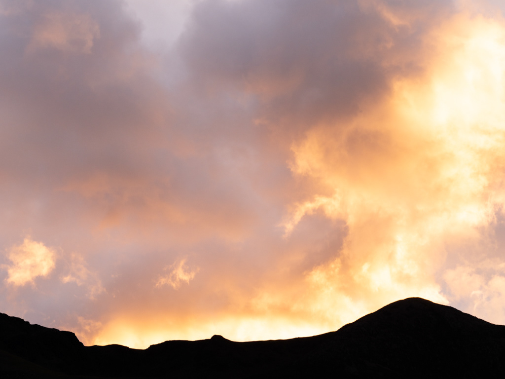 Kim Marsden - A Closer view