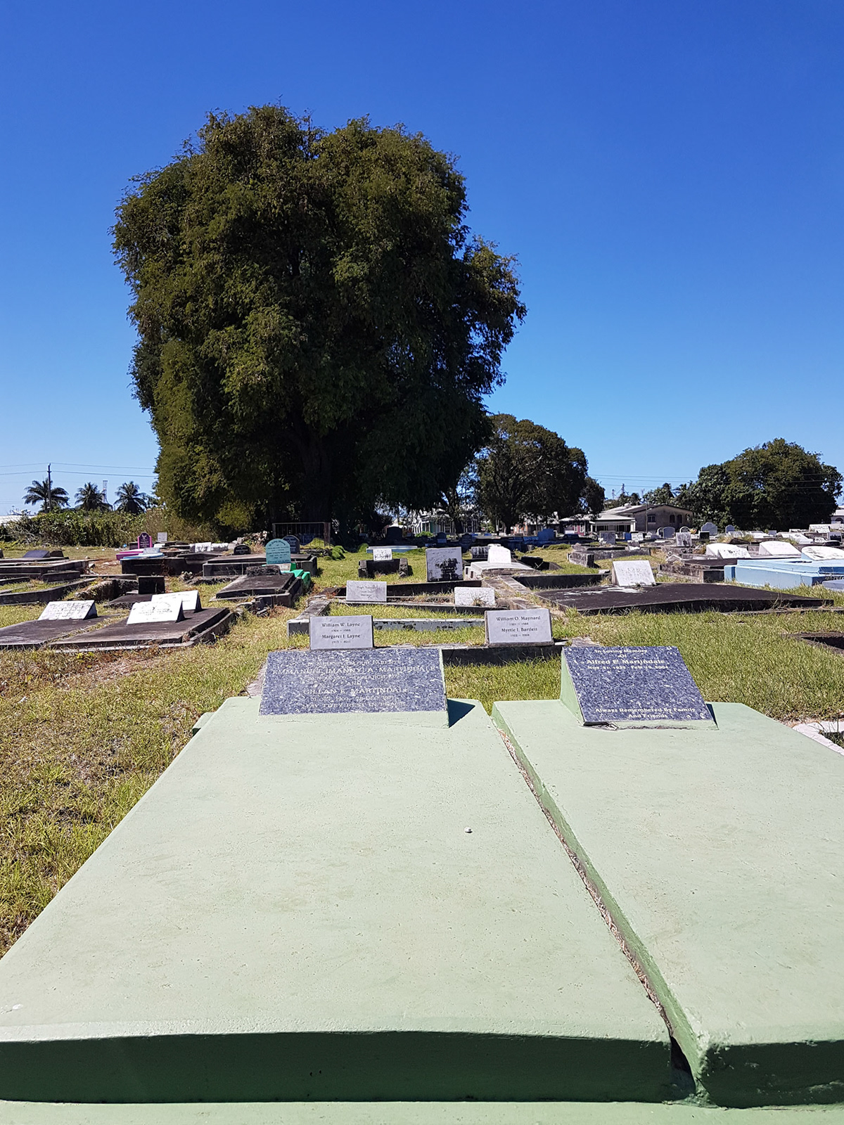 Barbados Photos - Westbury Cemetery