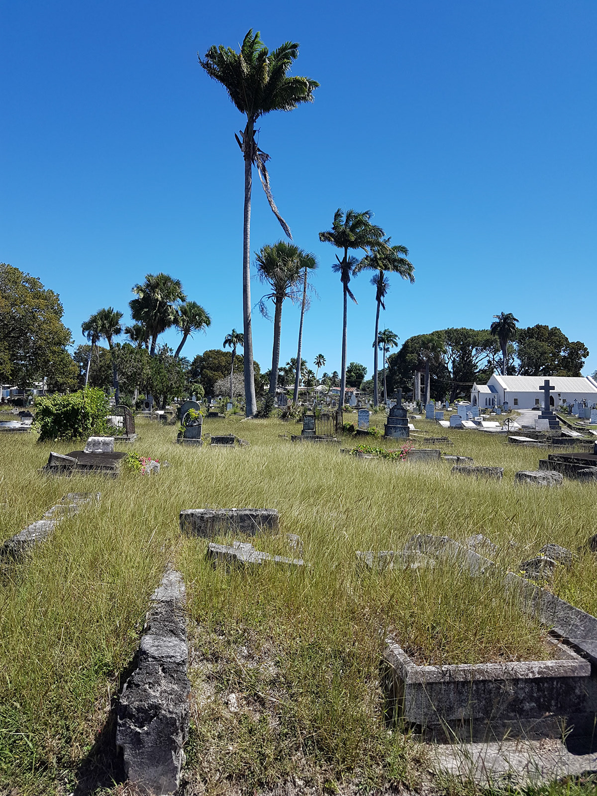 Barbados Photos - Westbury Cemetery
