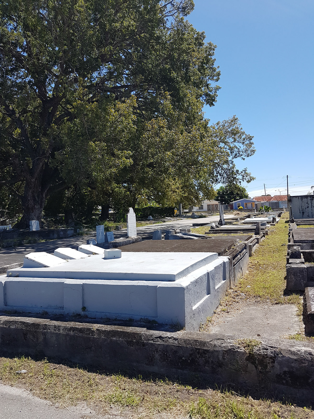 Barbados Photos - Westbury Cemetery