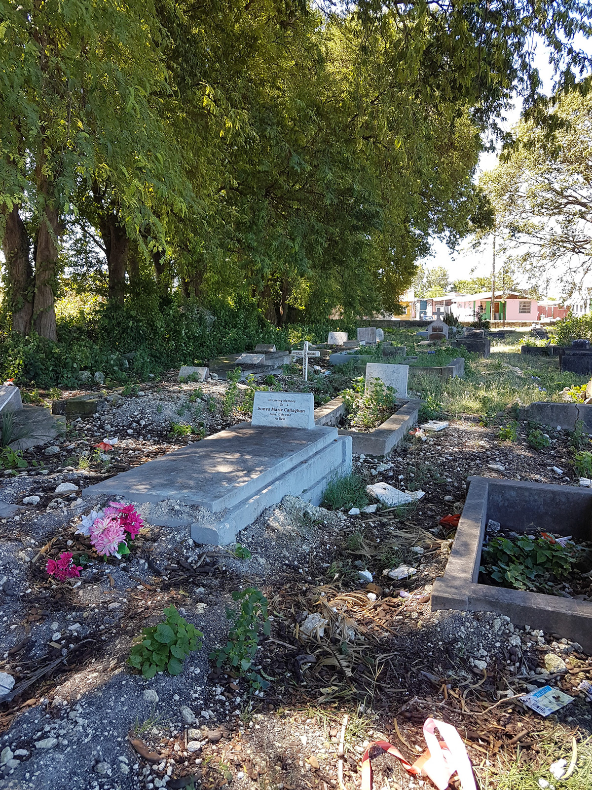 Barbados Photos - Westbury Cemetery