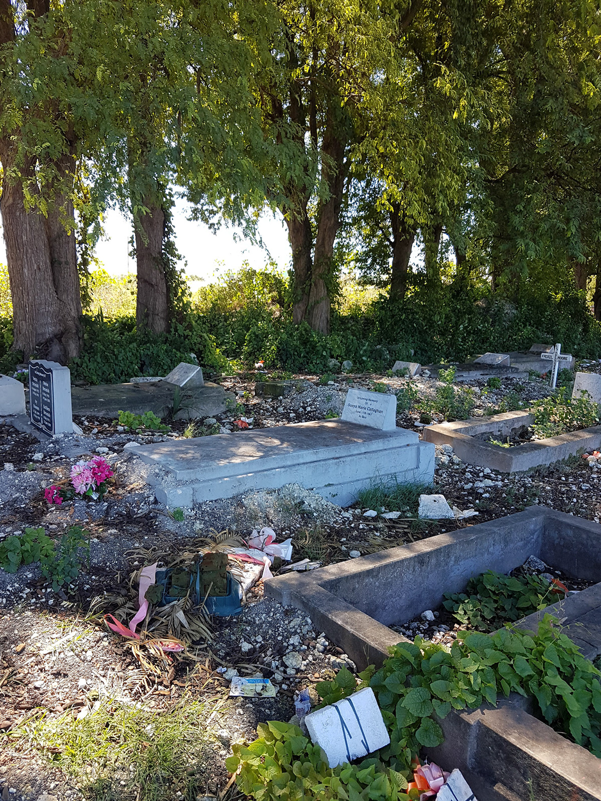 Barbados Photos - Westbury Cemetery