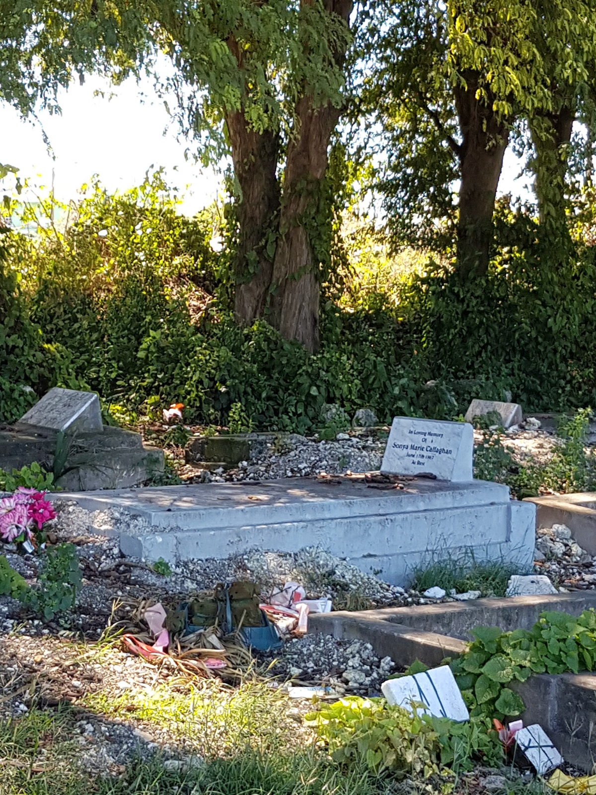 Barbados Photos - Westbury Cemetery