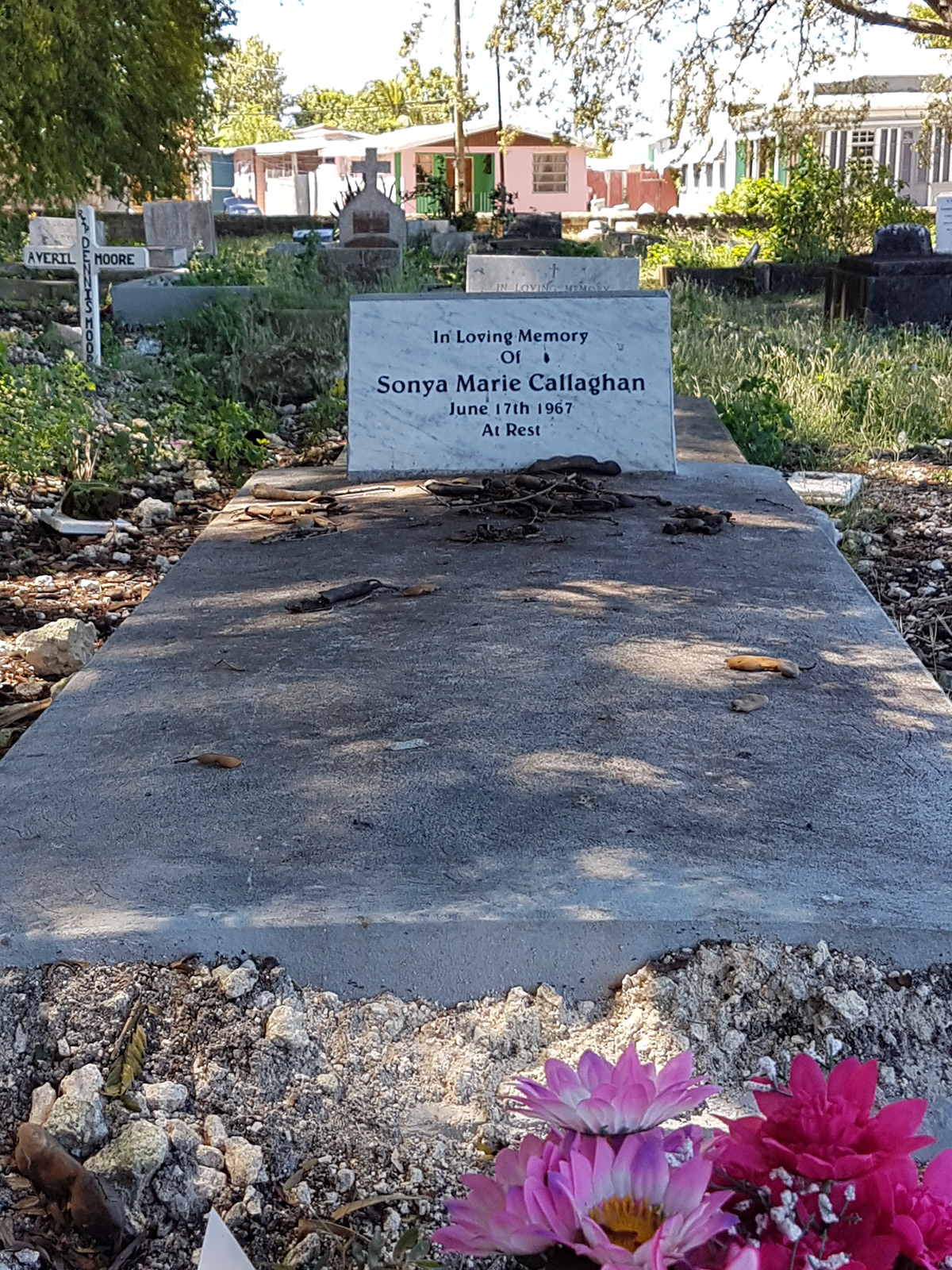 Barbados Photos - Westbury Cemetery