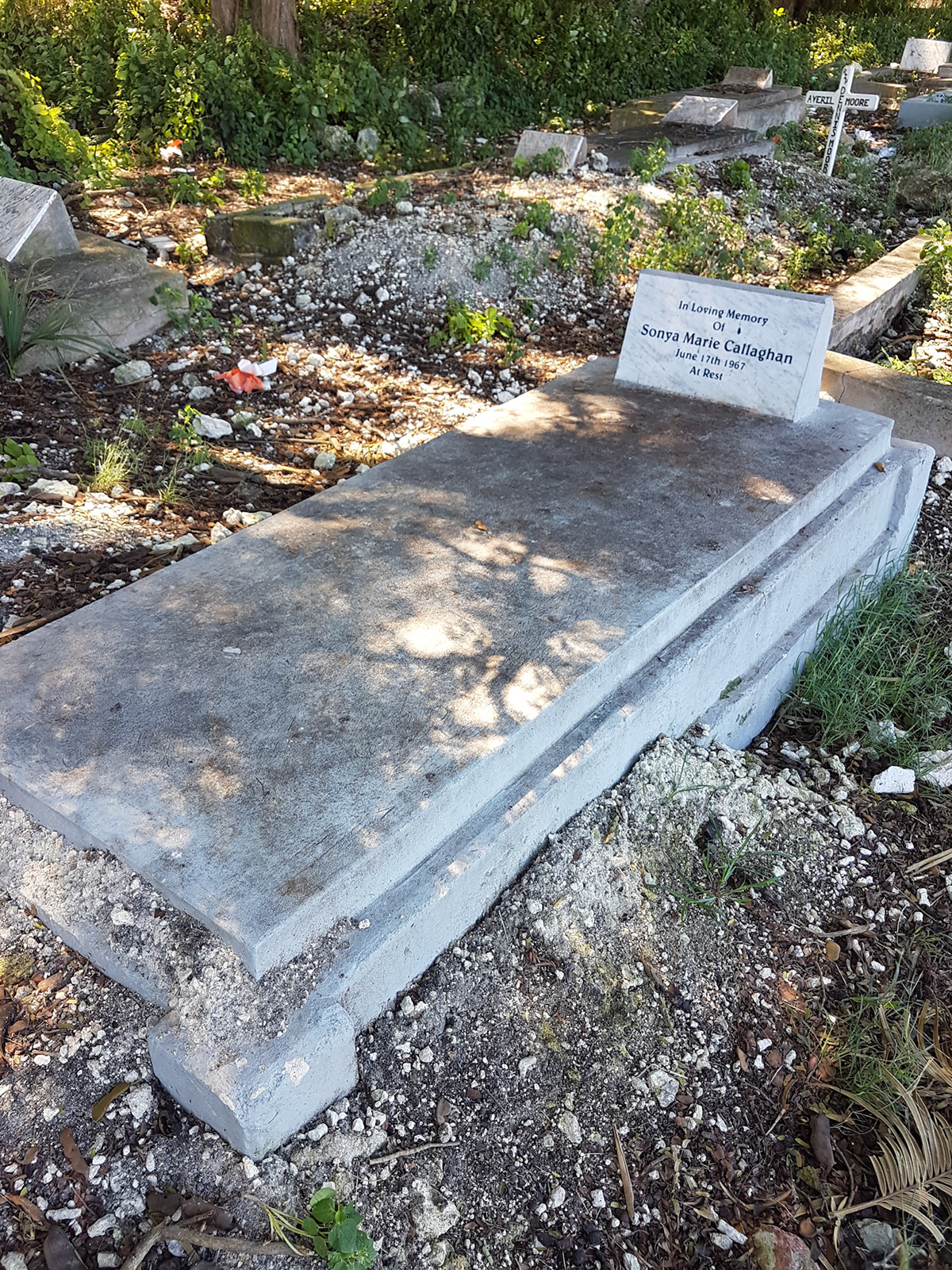 Barbados Photos - Westbury Cemetery