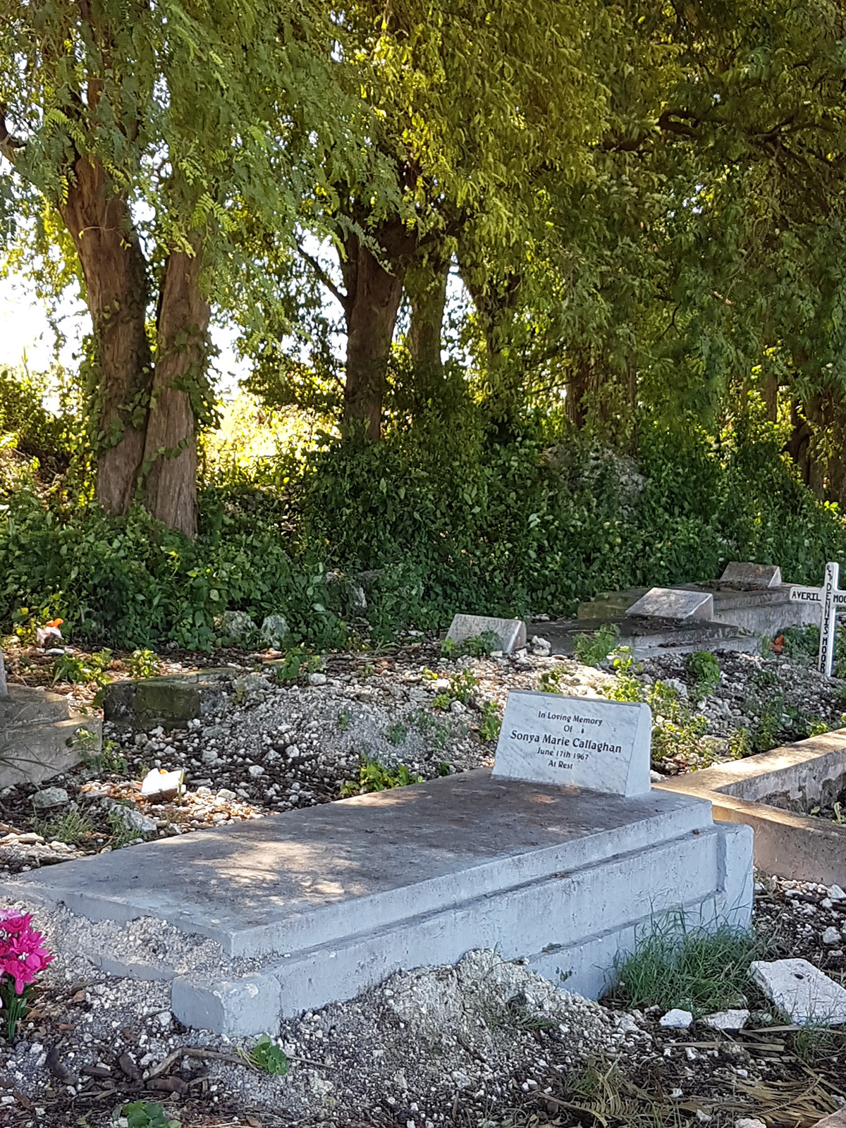 Barbados Photos - Westbury Cemetery