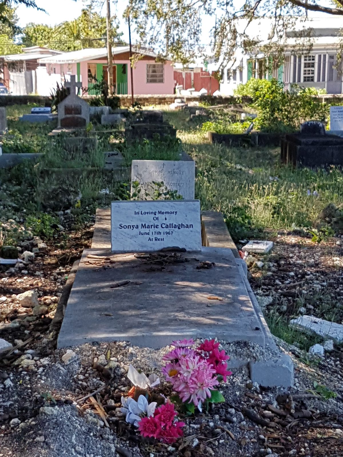 Barbados Photos - Westbury Cemetery