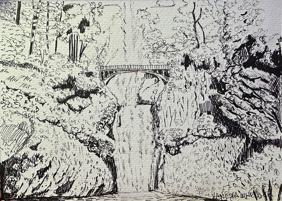 Vanessa Wheeler - Waterfall in Pen