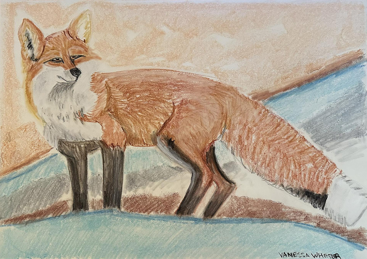 Vanessa Wheeler - Red Fox Pastel