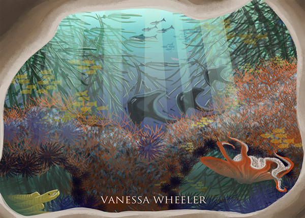 Vanessa Wheeler - Ocean Tank Mural
