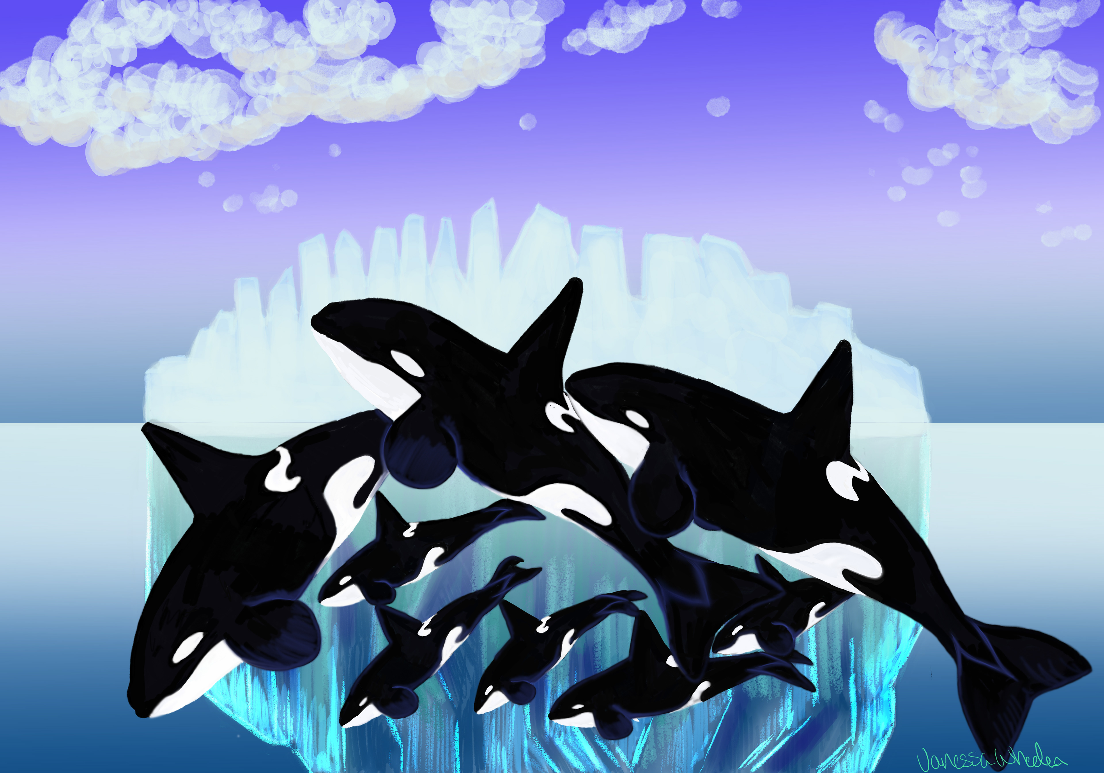 Vanessa Wheeler - Killer Whale Painting