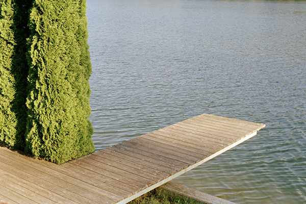 Max Knoll - June 2020 Austria