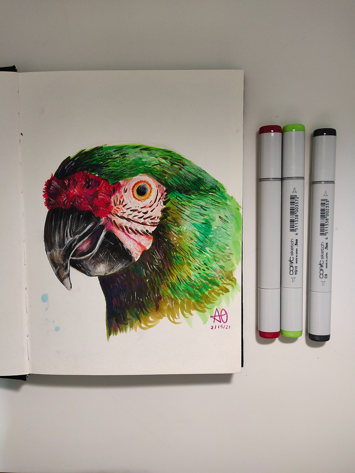 Anisa Ozalp | Artist & Creative Studio - ANIMAL DRAWING