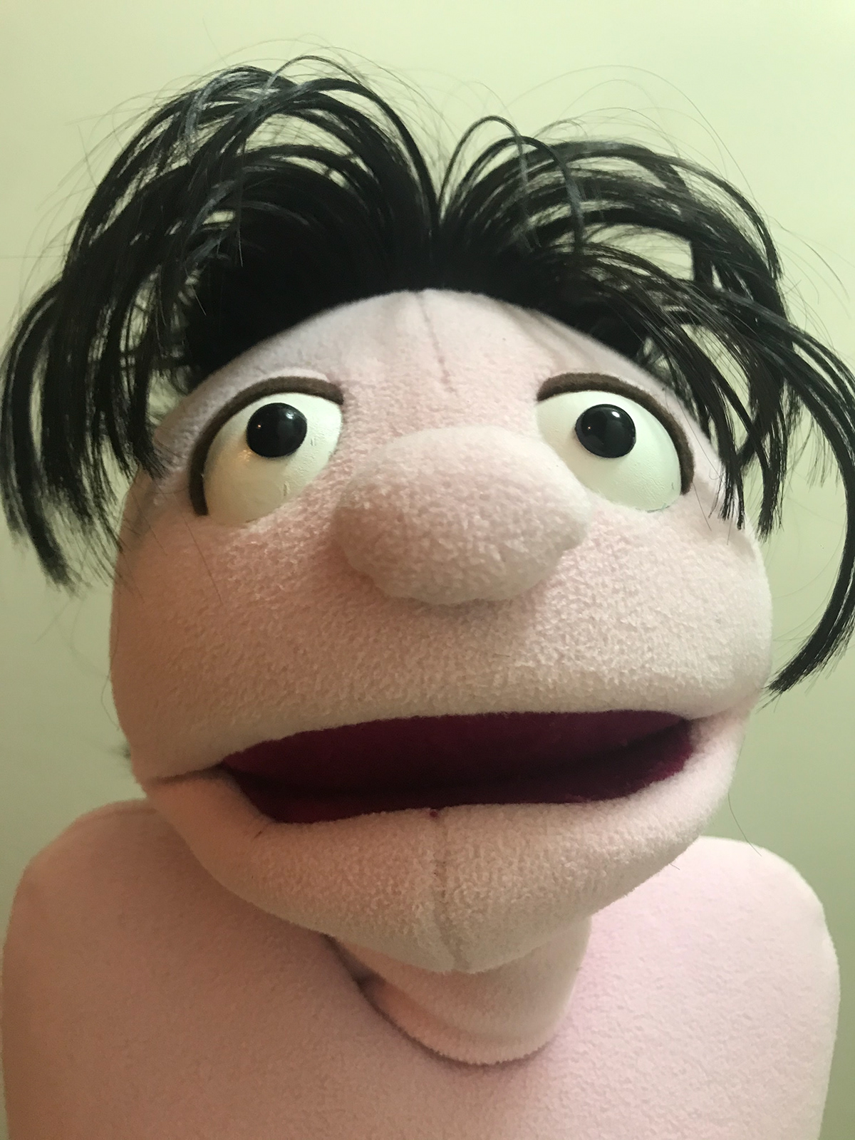 Anisa Ozalp | Artist & Creative Studio - CUSTOM PUPPETS