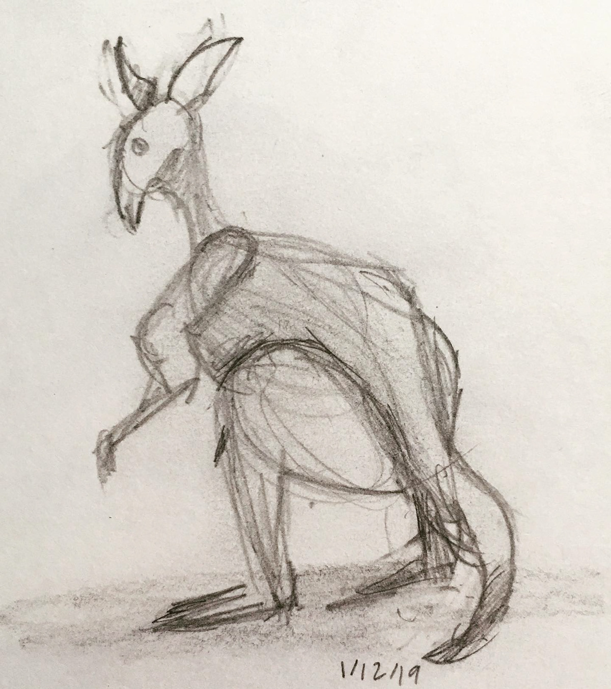 Anisa Ozalp | Artist & Creative Studio - ANIMAL DRAWING