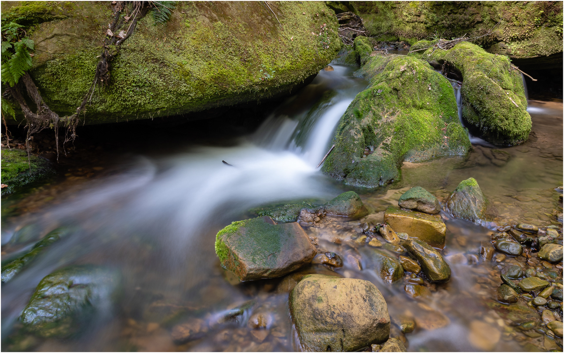 Martin Patz - Halerbaach