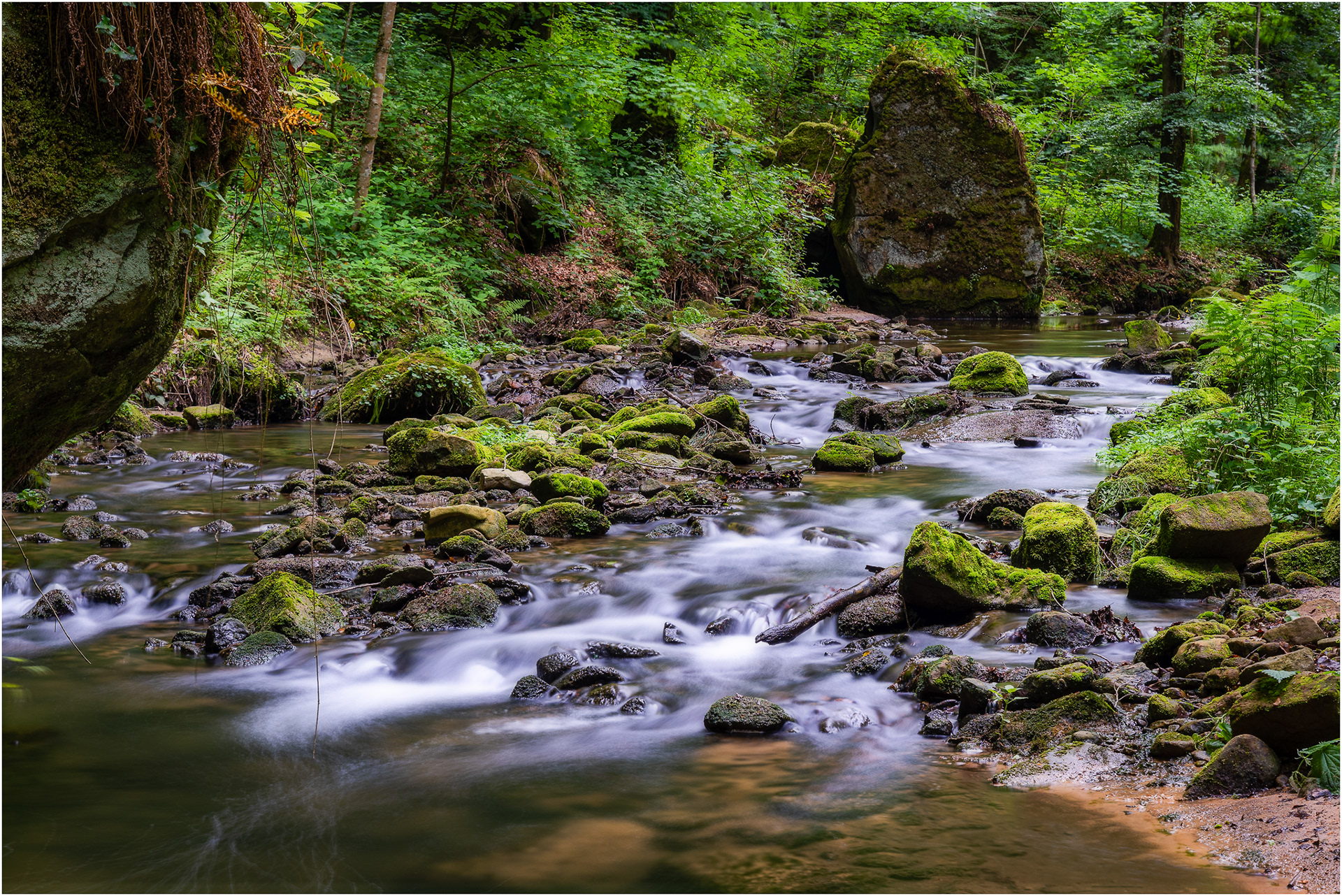 Martin Patz - Halerbaach