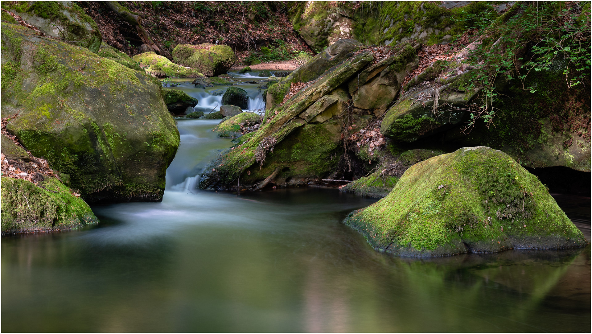 Martin Patz - Halerbaach