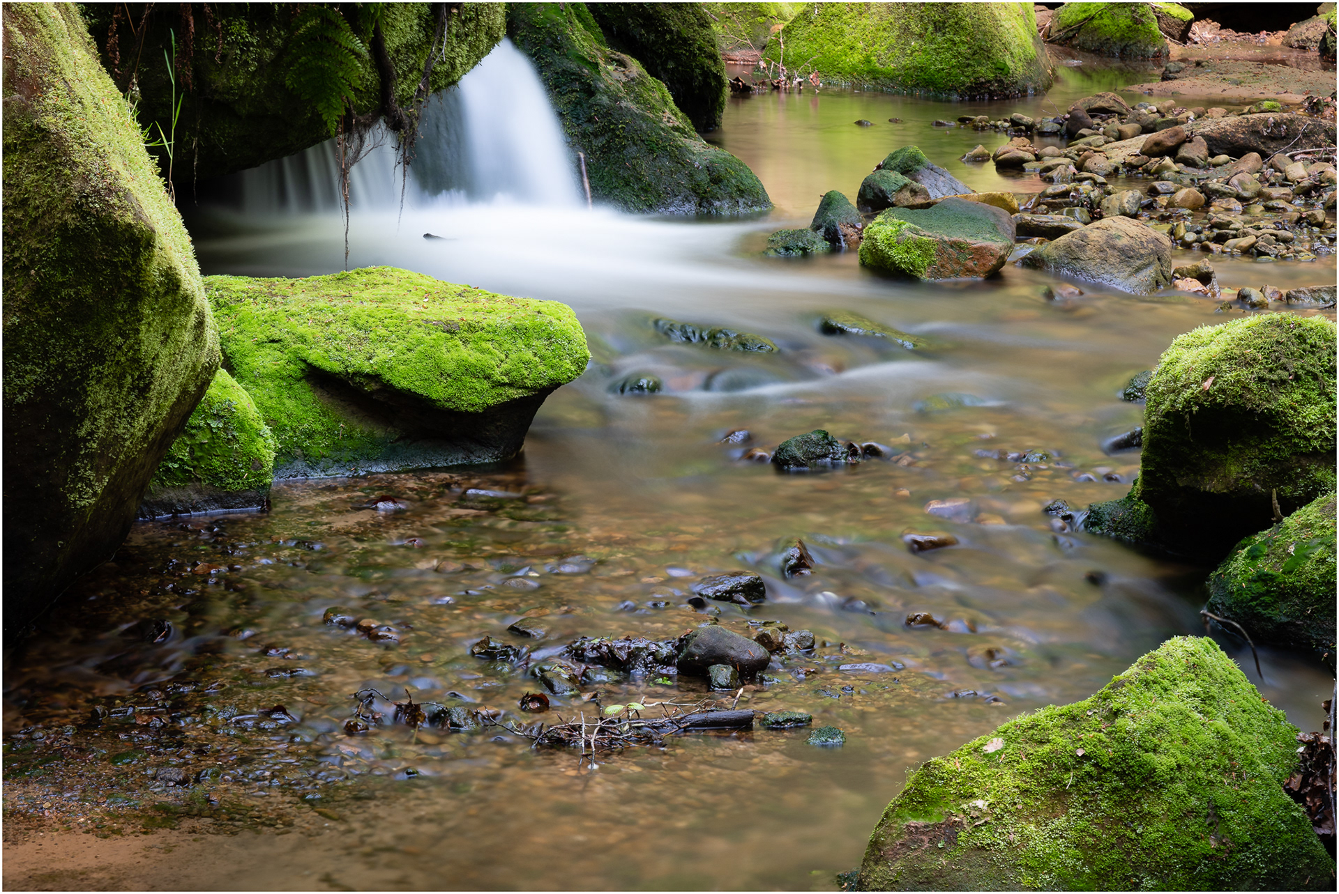 Martin Patz - Halerbaach