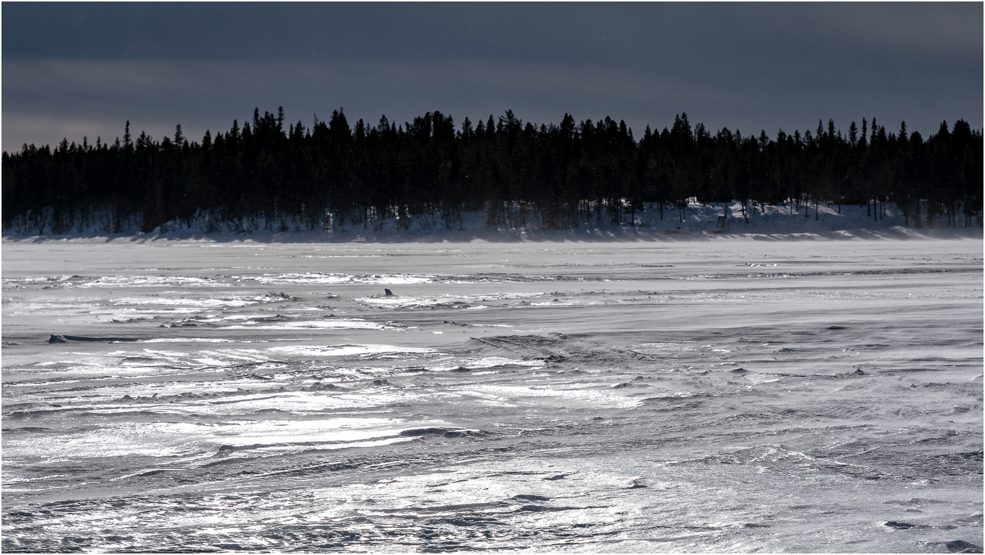 Martin Patz - Northern Lights Tour