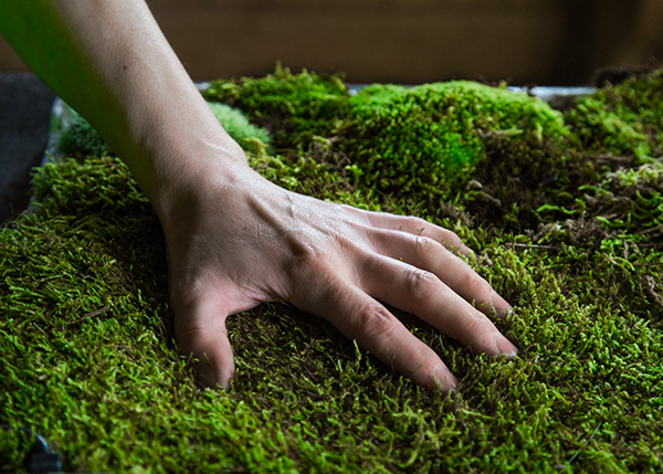 Vanesa Lorenzo - Mossphone