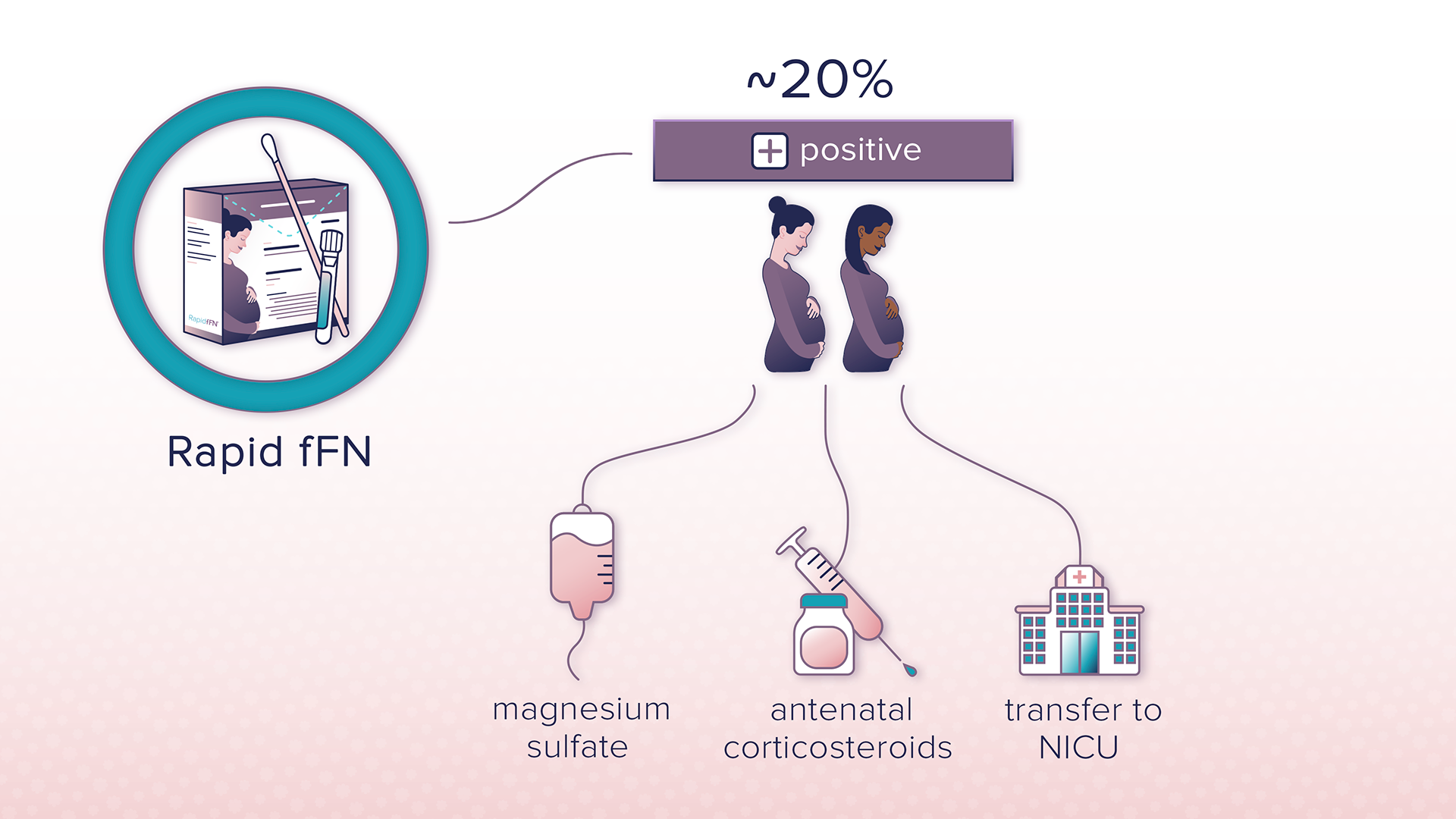 Clare Carrellas | Motion Designer + Illustrator - fFN Series - Preterm ...